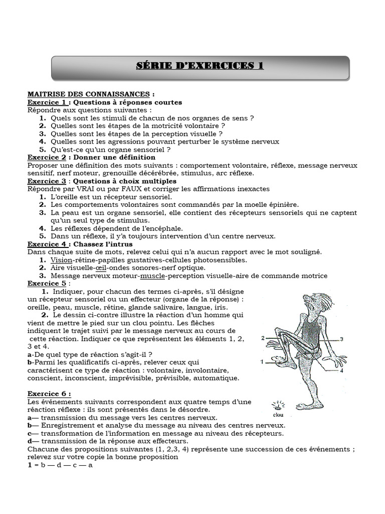 TD SVT 3 L1 080530 | PDF | Douleur | Nerf