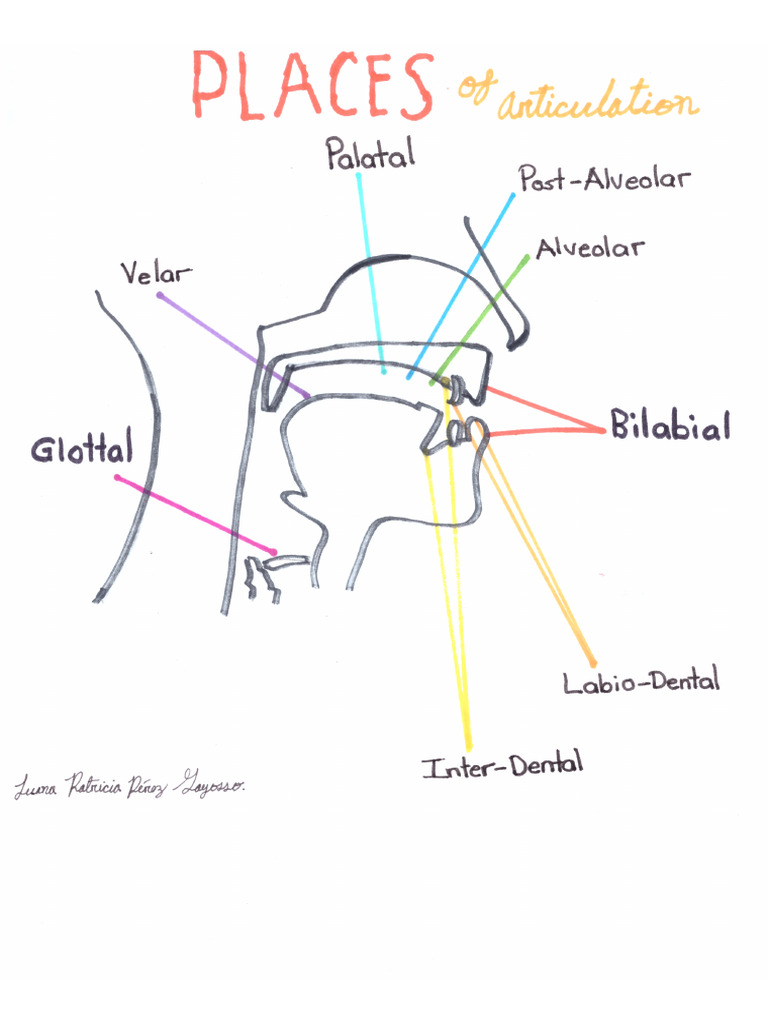 Places of Articulation | PDF