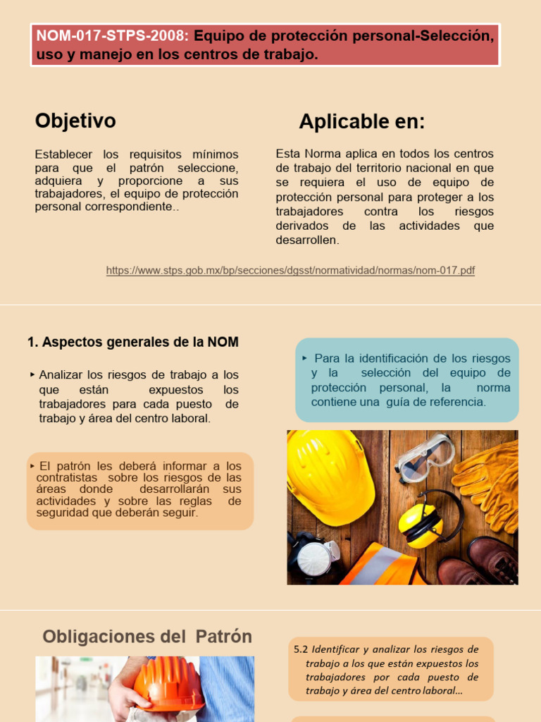 NOM-017-STPS-2008 Diapositivas | PDF