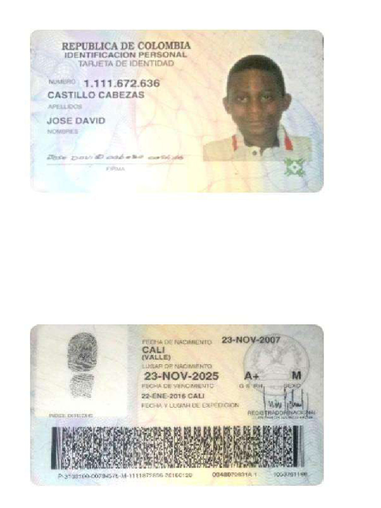 Targeta de Id - Compressed | PDF