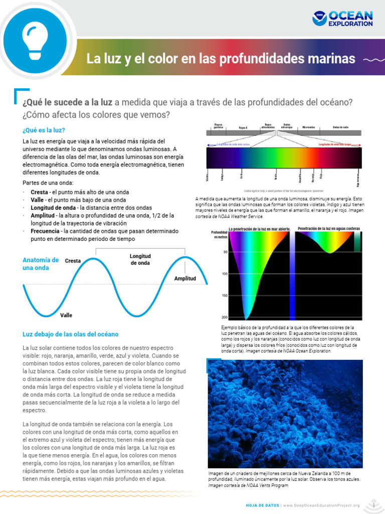 Light and Color Fact Sheet ESP | PDF | Color | Radiación electromagnética