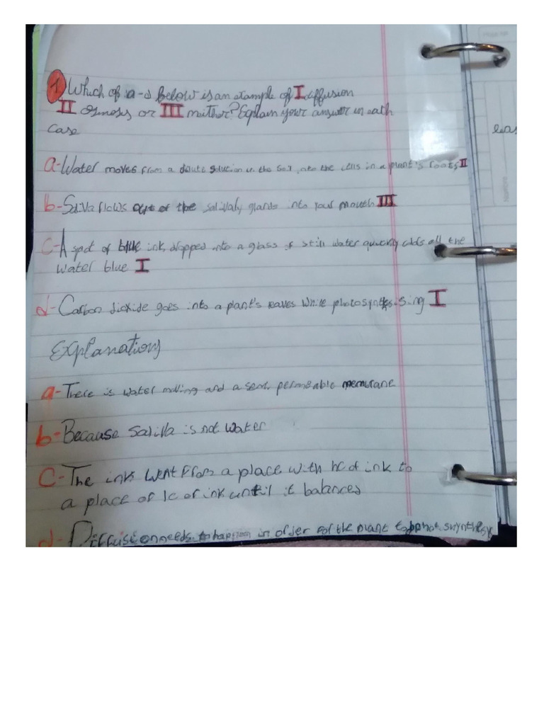 End of Chapter Questions | PDF