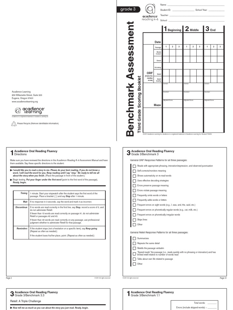 BENCHMARK DIBELS | PDF