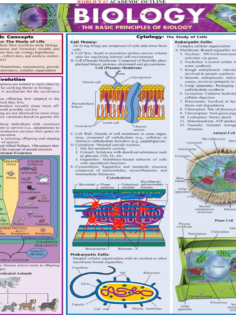 Biology | PDF