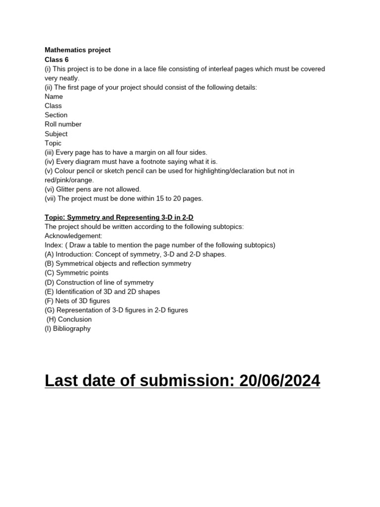 Class 6 Maths Project on Symmetry | PDF | Shape | Symmetry