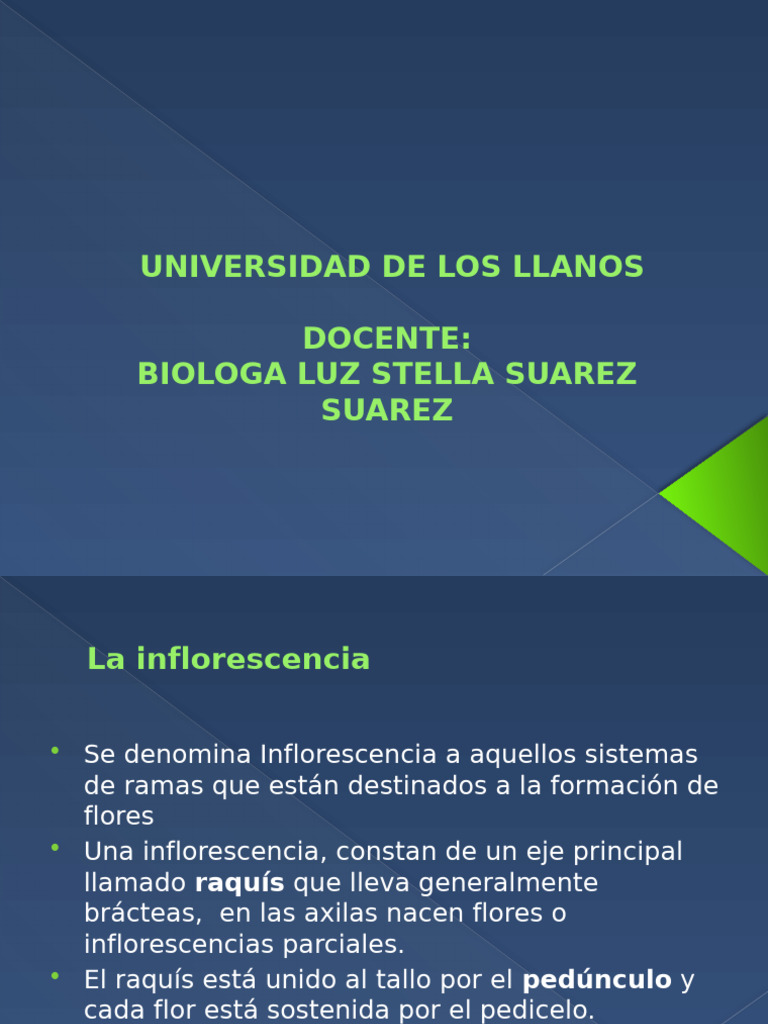 Inflorescencia Morfologia de Superiores | PDF | Reproducción de plantas ...