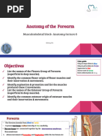 The Muscles of The Hand - Thenar - Hypothenar - TeachMeAnatomy | PDF ...