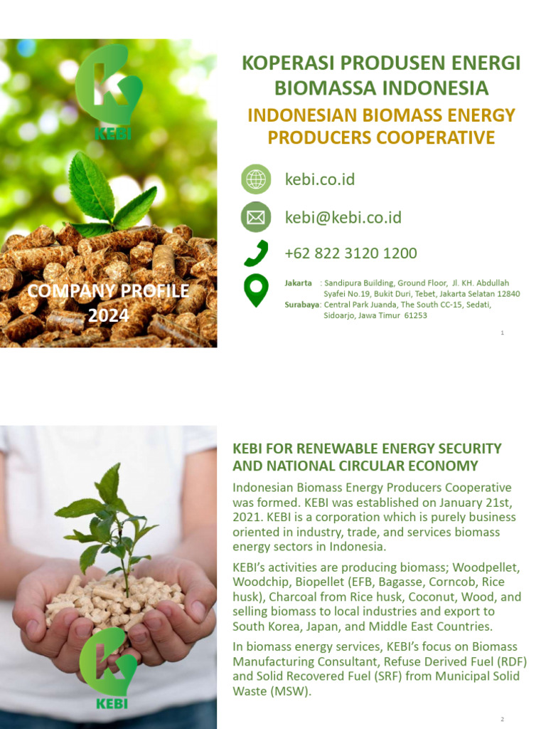 Indonesian Biomass Energy Producers Profile | PDF | Biofuel | Indonesia