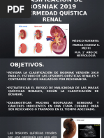 Actualizacion de Protocolos de La Cap | PDF