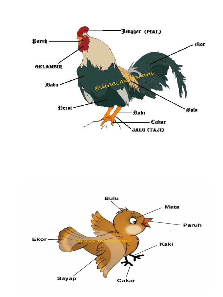 GAMBAR | PDF