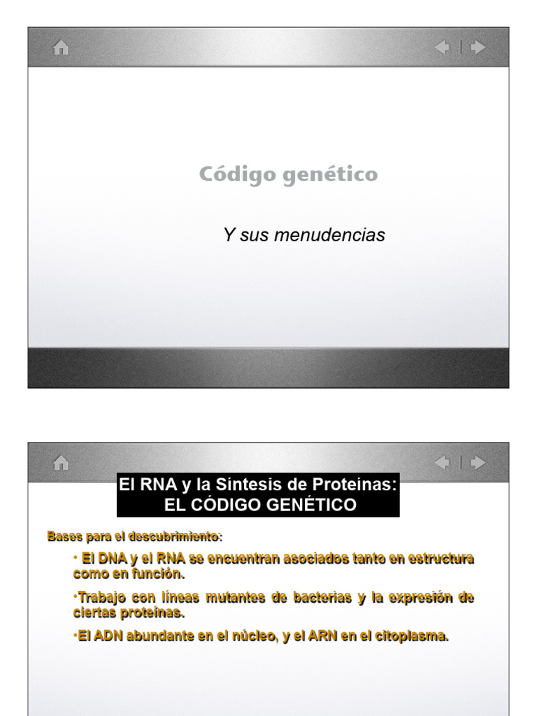 Esquema del Código Genético | PDF