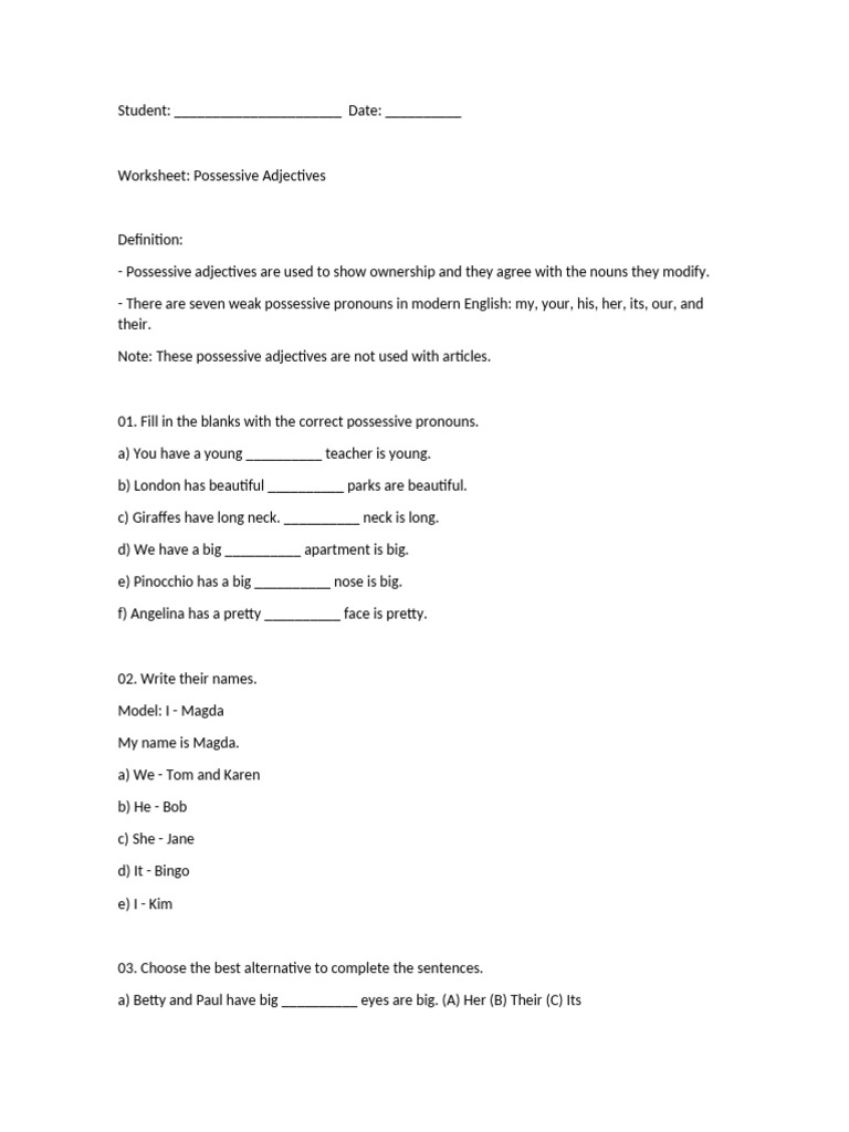 Possessive Practice | PDF