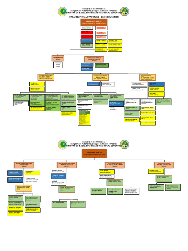Organizational Structure Hybrid | PDF | Leadership | Business