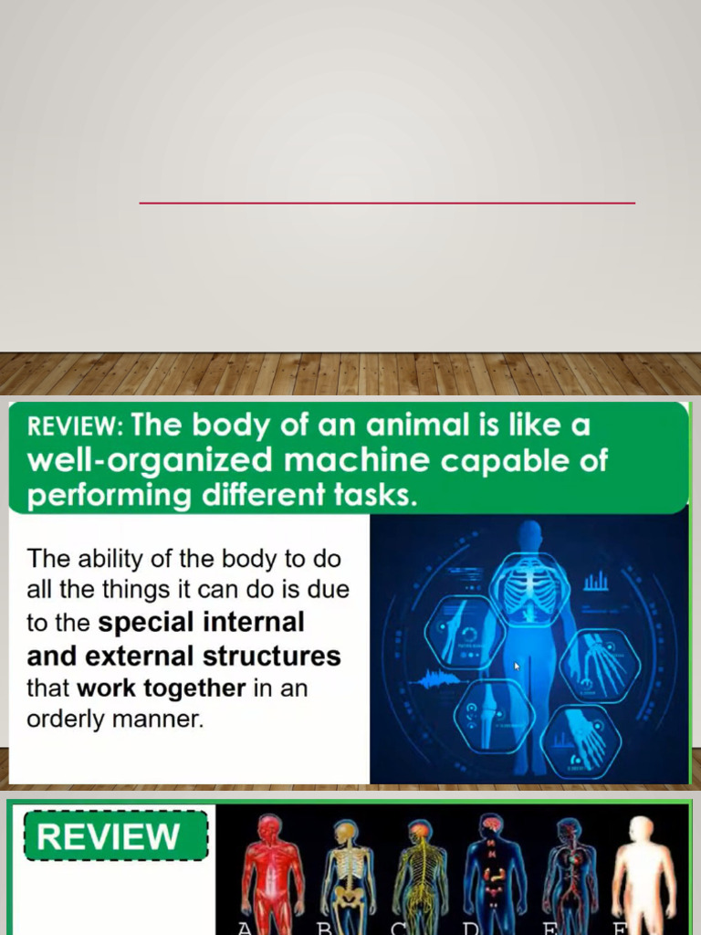 Q2 - Week 6 - The Process of Evolution | PDF