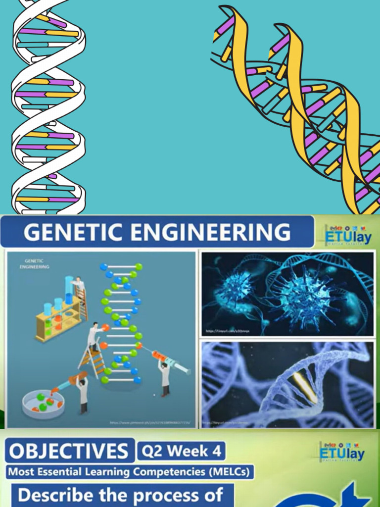 Q2 L4 Genetic Engineering | PDF | Foreign Language Studies | Science ...