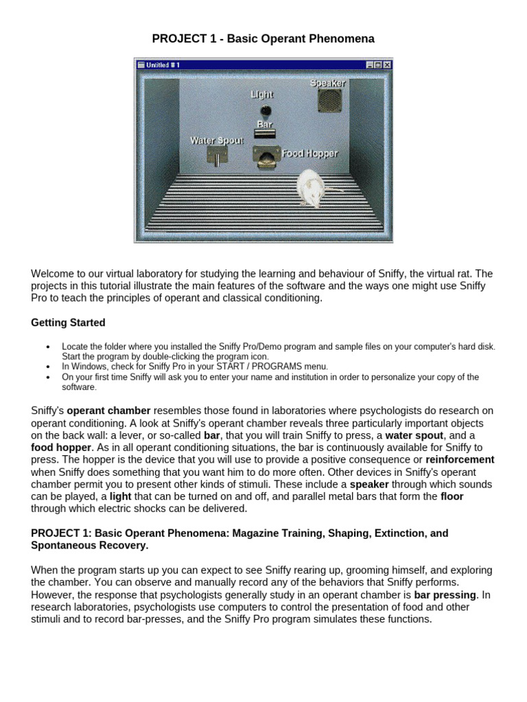 PROJECT | PDF | Psychological Concepts | Psychology