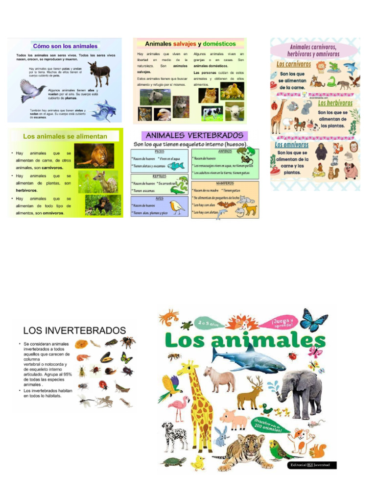 Los Animales | PDF