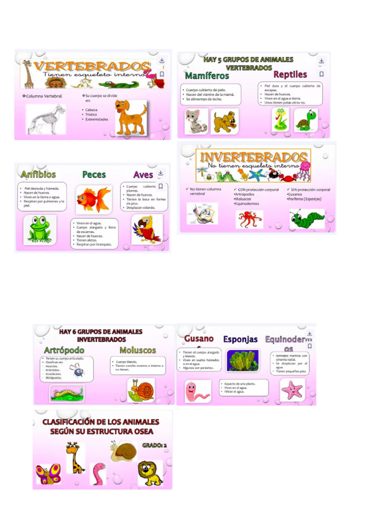Clasificacion de Animales | PDF