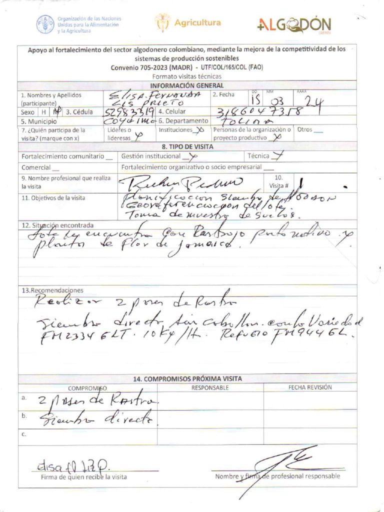 Elisa Fernanda Lis Prieto | PDF