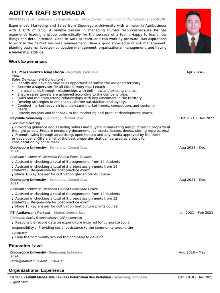 Resume Aditya Rafi SupervisorSales | PDF | Marketing | Business