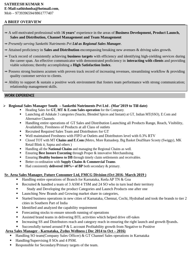 Satheesh Kumar N - Resume-2 | PDF | Business | Marketing