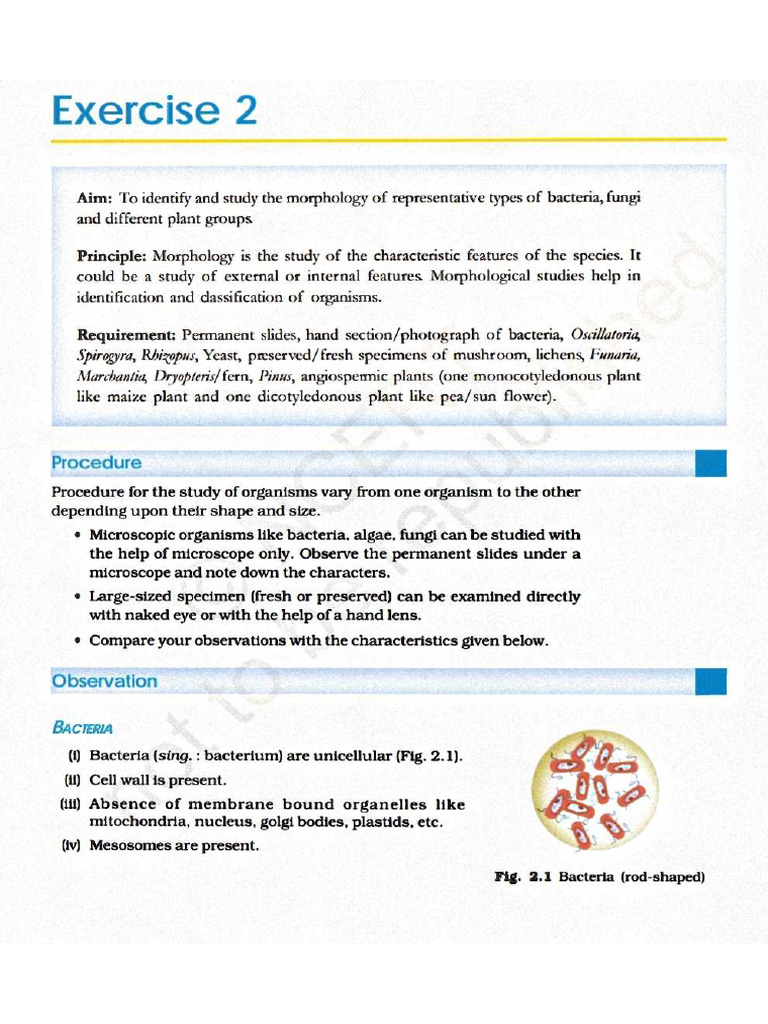 Biology Experiment | PDF
