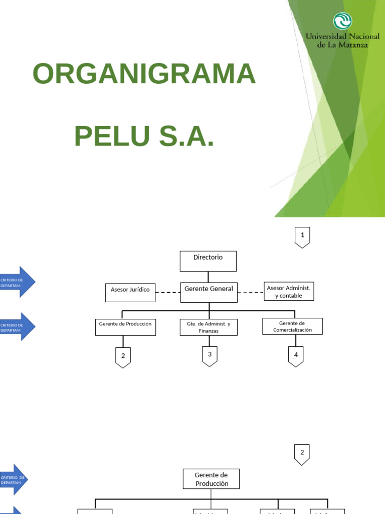 N - 6 CASO PELU SA (B) | PDF | Economias | Negocios económicos