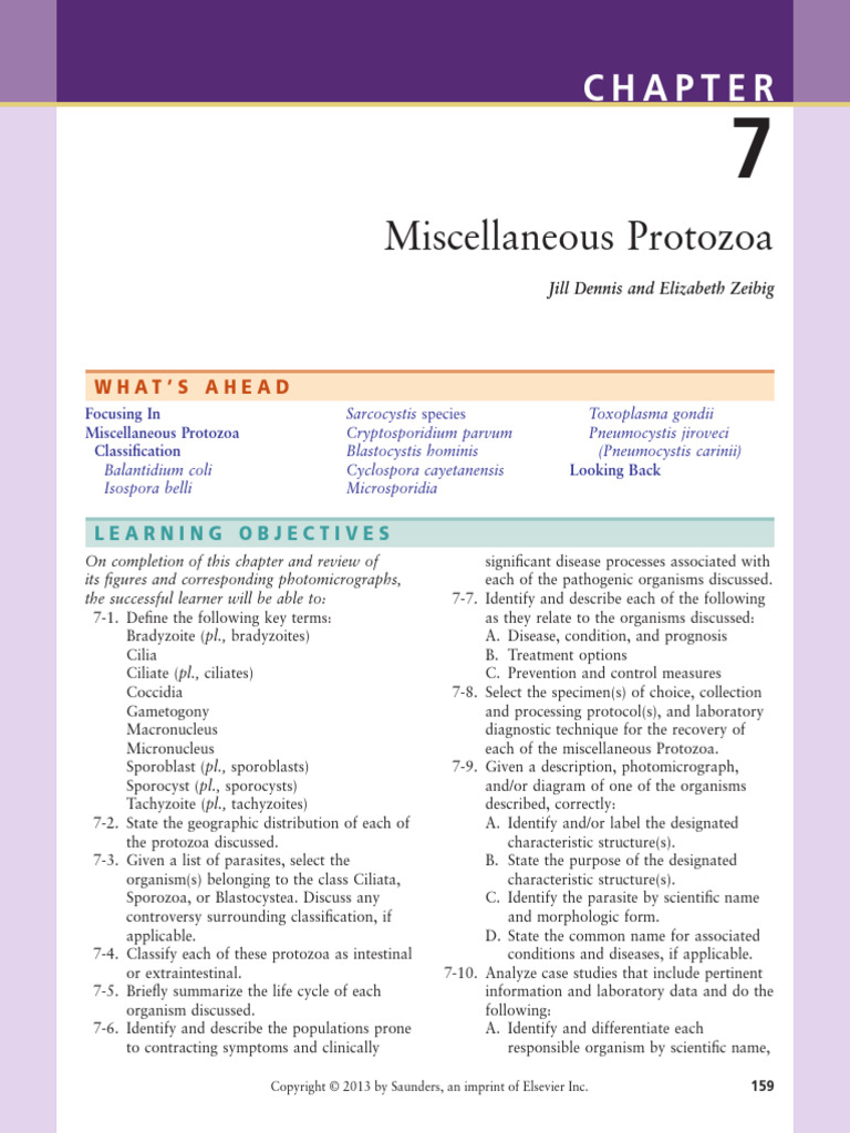 Zeibig Clinical Parasitology Chapter 7 Miscellaneous Protozoa | PDF | Infection | Microbiology