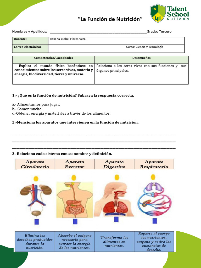 Ficha de La Funcion de Nutricion Talen 2024 | PDF