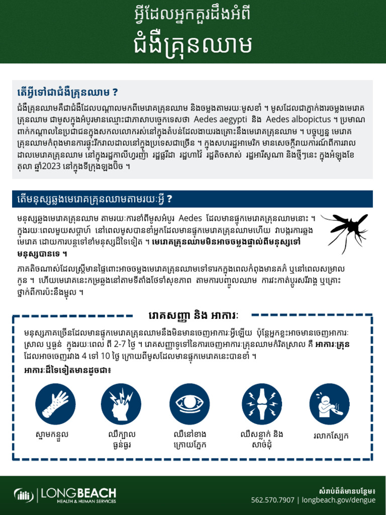 Khmer - Dengue Fever Faq | PDF