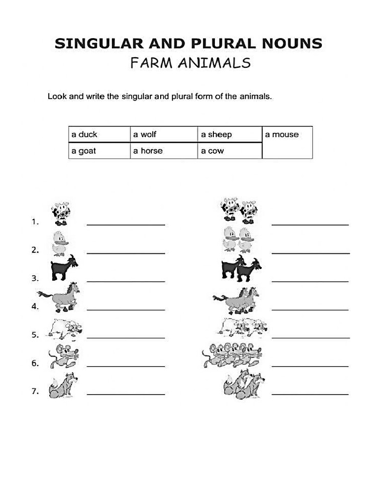 Out and About Singular Plural Farm Animal | PDF