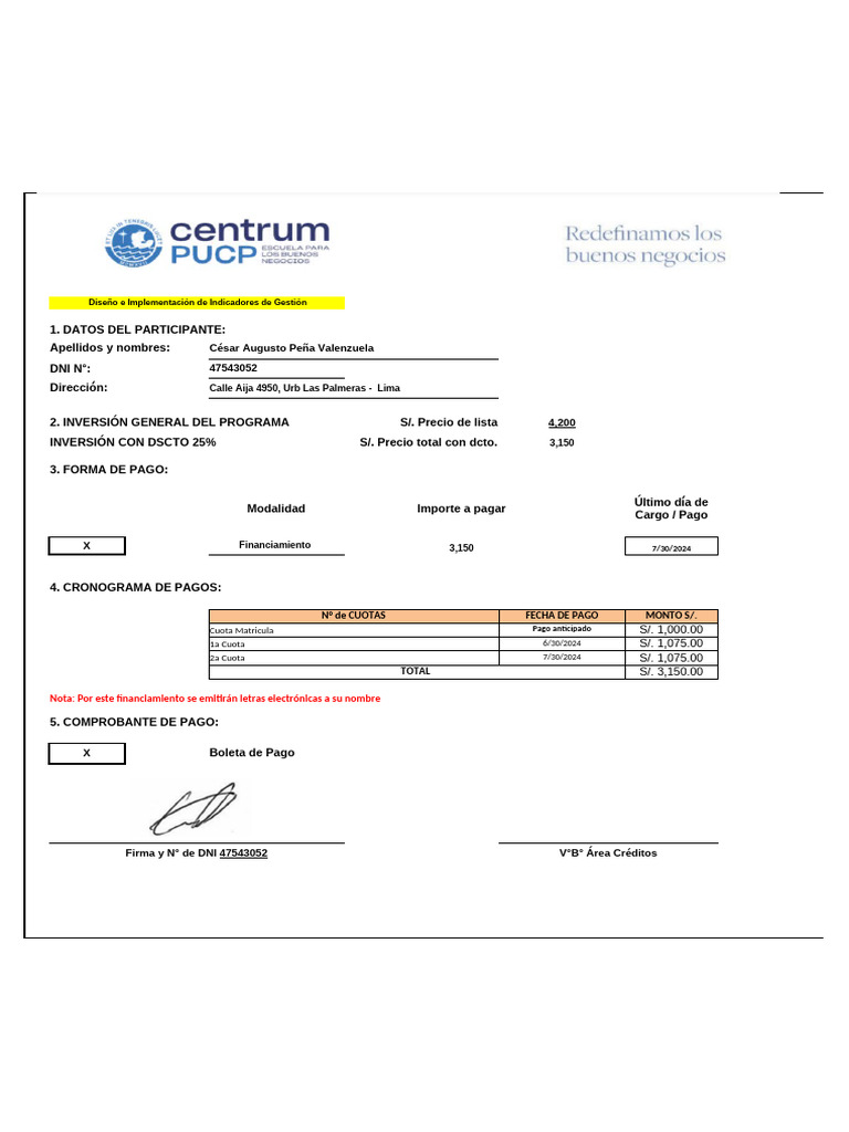 Ficha de Financiamiento - César Augusto Peña Valenzuela | PDF