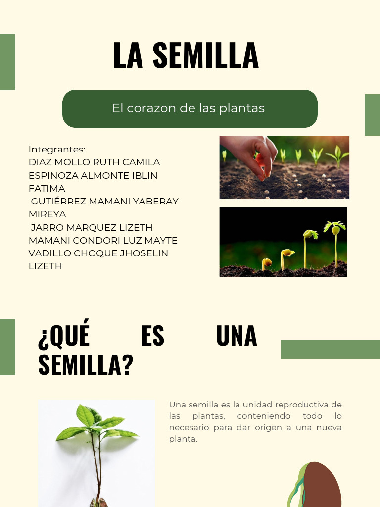 La Semilla - 20241002 - 102053 - 0000 | PDF | Plantas | Botánica