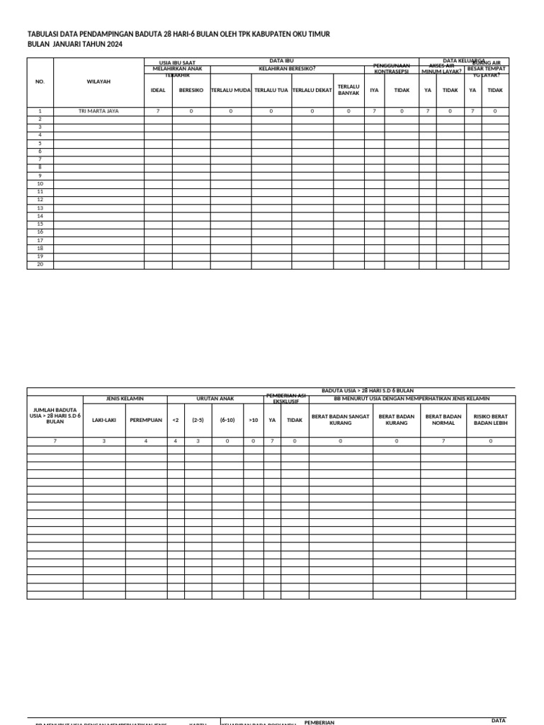 2024 Format Tabulasi Baduta 28 Hari-6 Bulan | PDF