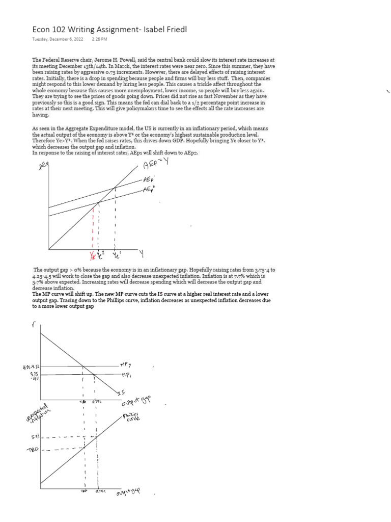 Econ 102 Writing Assignment | PDF