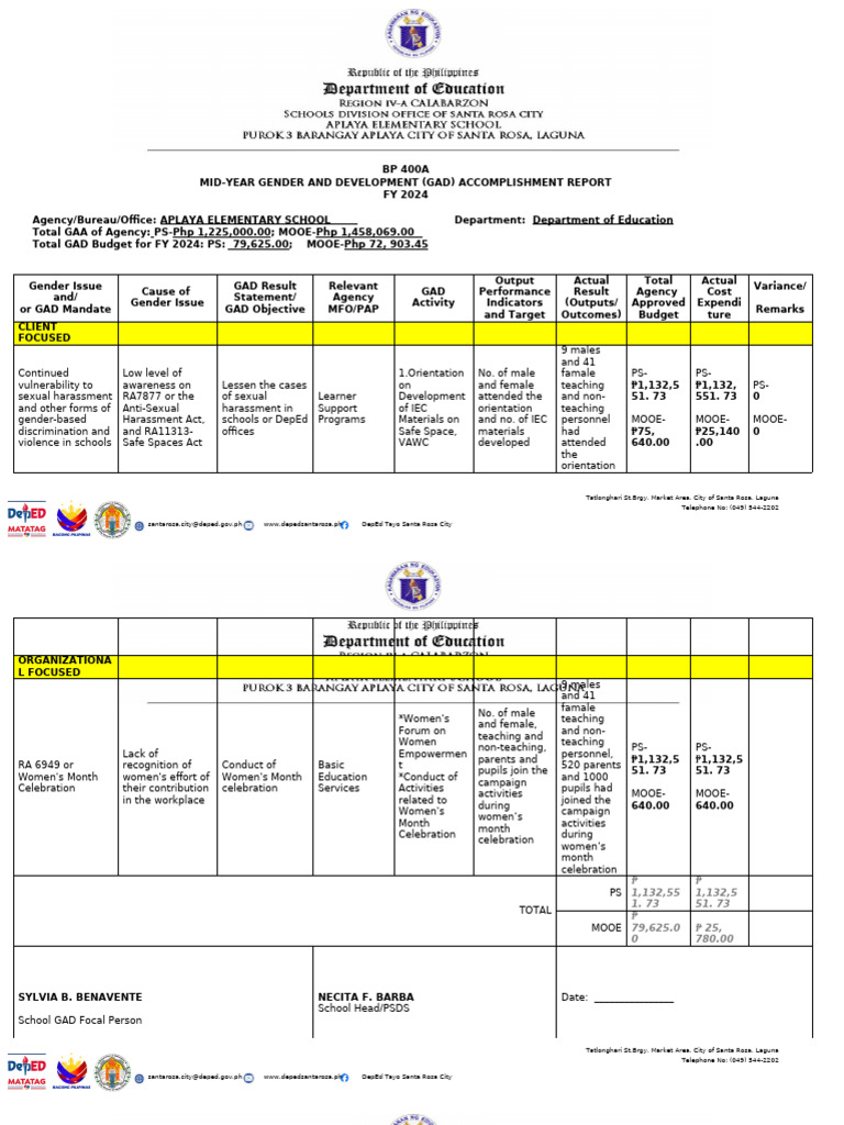 Division GAD Accomplishment Report 2024 Blank | PDF | Gender | Gender ...