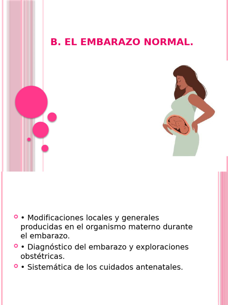 2b 2 Embarazo Normal | PDF | El embarazo | Sangre