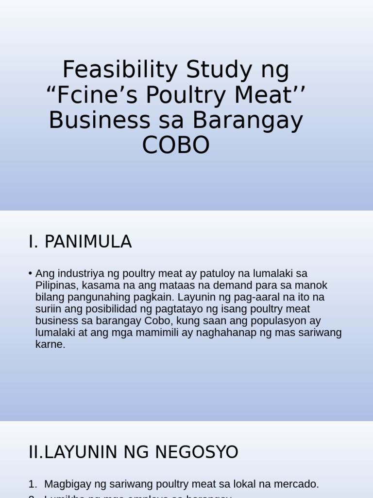 Feasibility Study NG | PDF