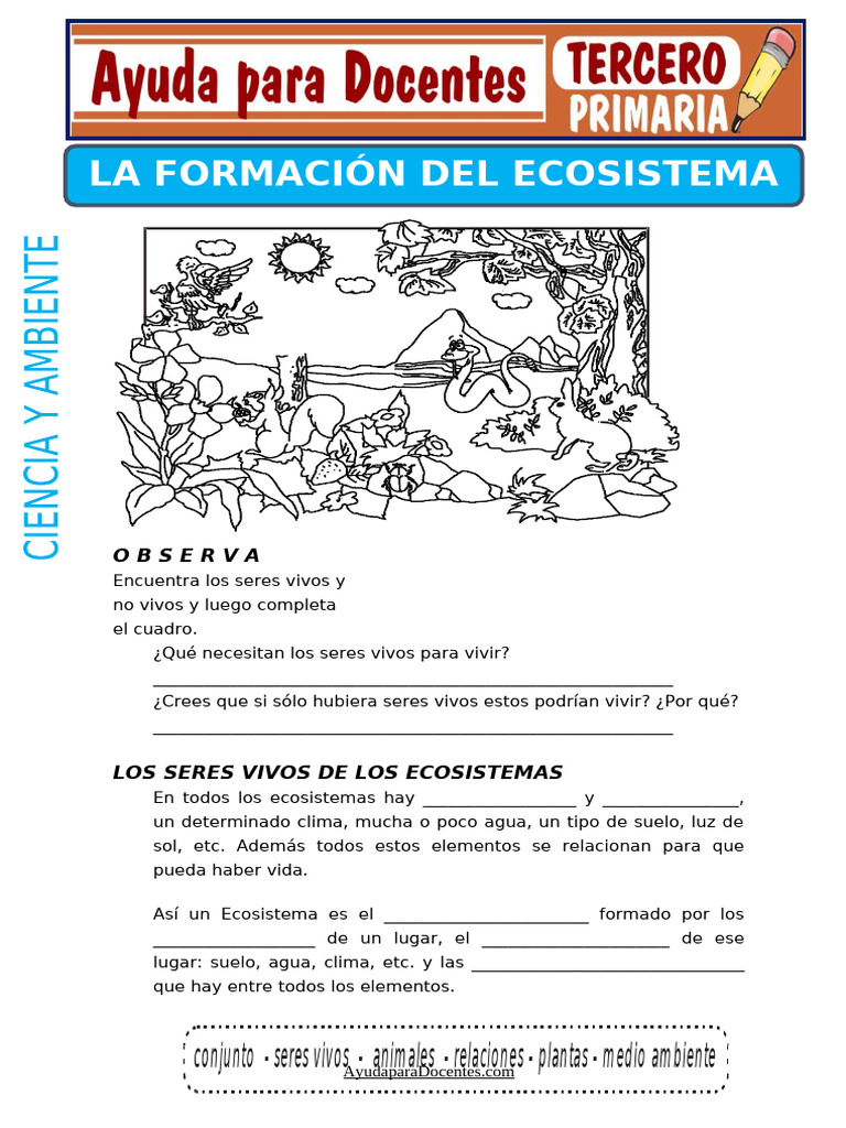 Ecosistemas y Cadenas Alimenticias | PDF | Ecosistema | Entorno natural