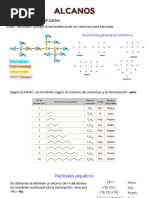 Radicales Alquilo Complejos | PDF | Química | Química Orgánica