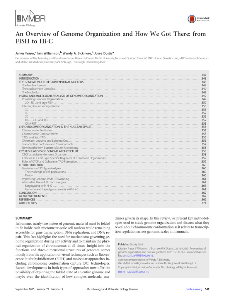 Genome Organization | PDF | Fluorescence In Situ Hybridization | Dna ...