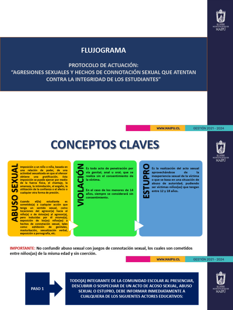 FLUJOGRAMAS PROTOCOLOS-DE-ACTUACIÓN RICE-2024 Compressed | PDF | Abuso sexual | La violencia ...