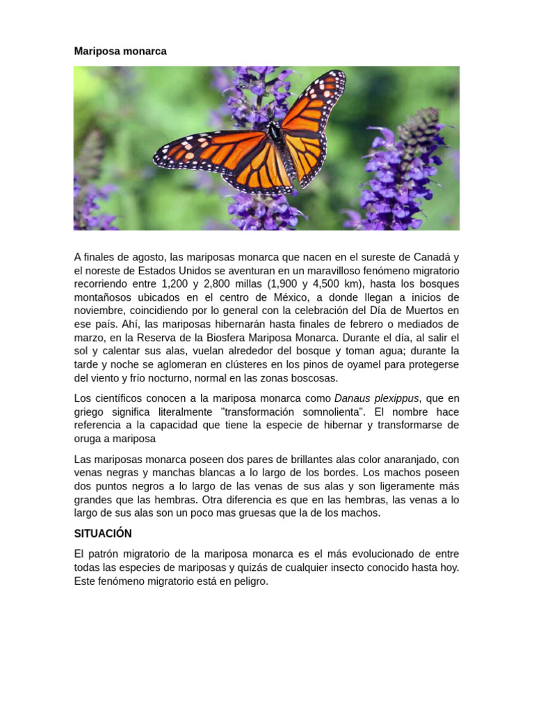 Migración y conservación de la mariposa monarca | PDF | Mariposa ...