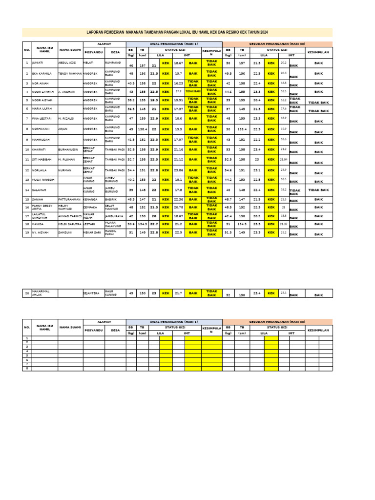Monitoring PMT Ibu Hamil Kek Tahun 2024 | PDF
