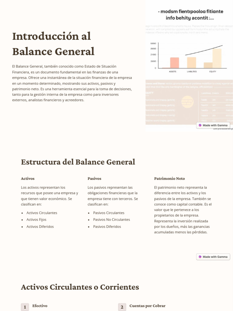 Guía Esencial del Balance General | PDF | Hoja de balance | Business