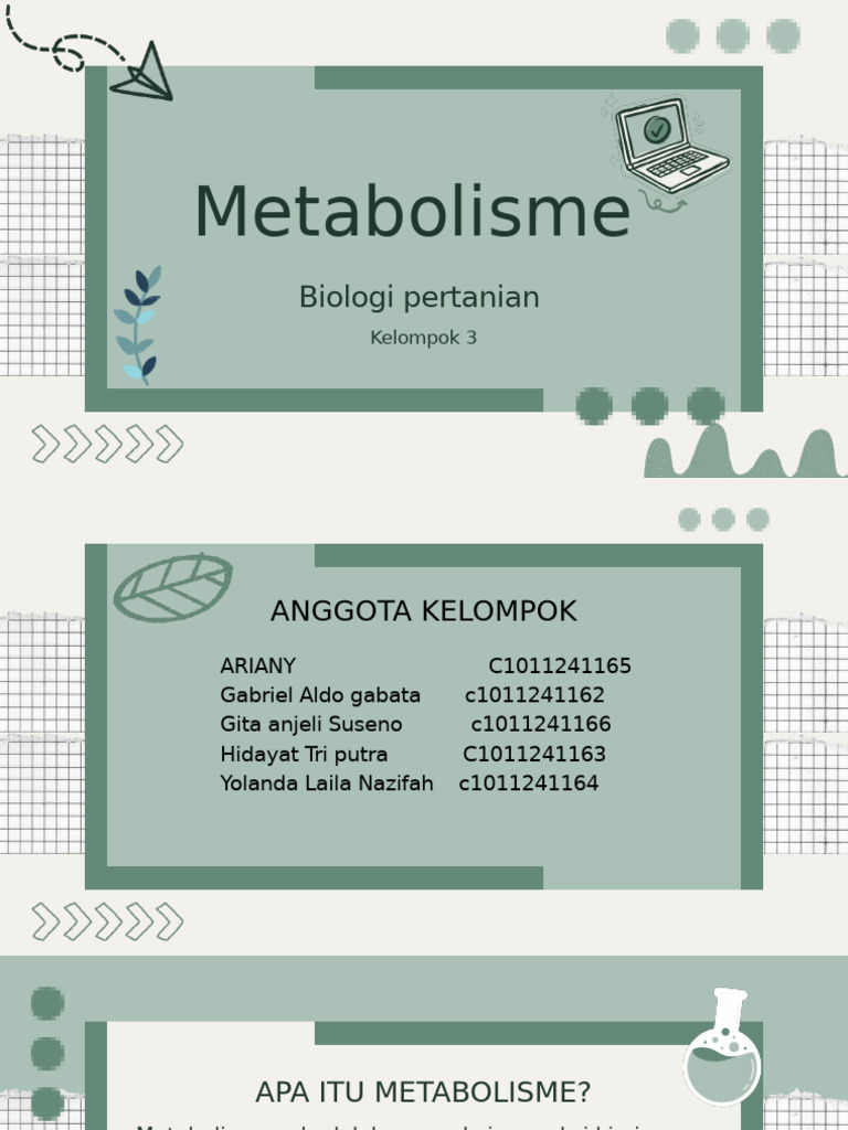 Biologi Metabolisme - Kelompok 3 | PDF | Sains & Matematika