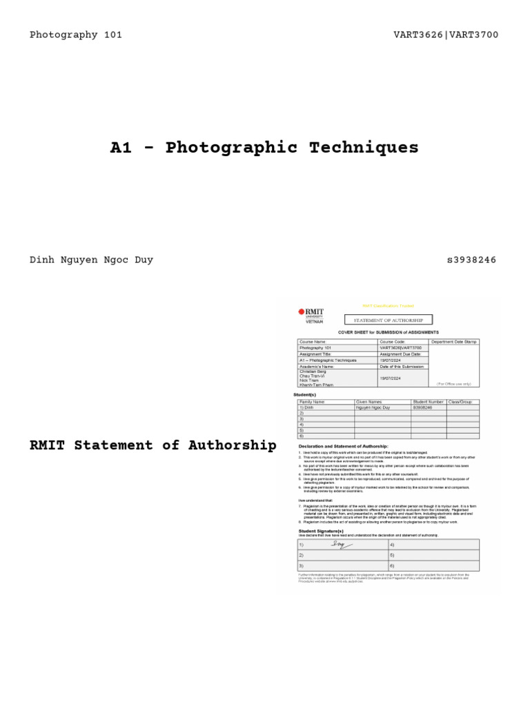 Photographic Techniques | PDF