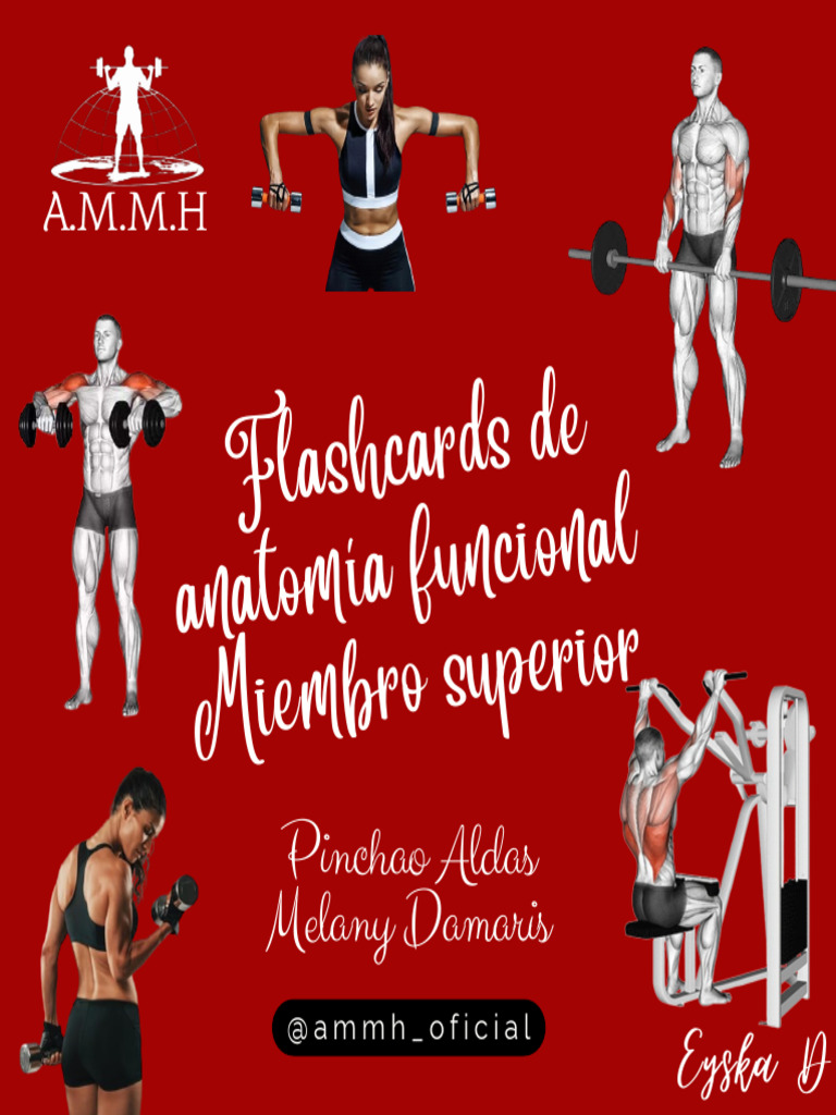 AMMH Flashcards Miembro superior | PDF | Codo | Hombro