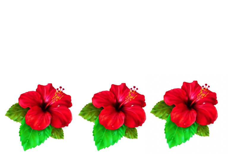 Bunga Raya MERDEKA | PDF