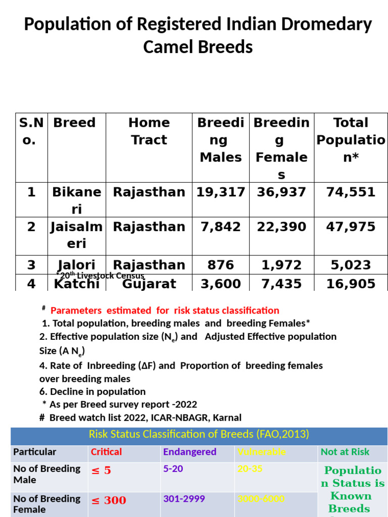 Camel Breed Classification Status As Per Breed Watch List | PDF ...